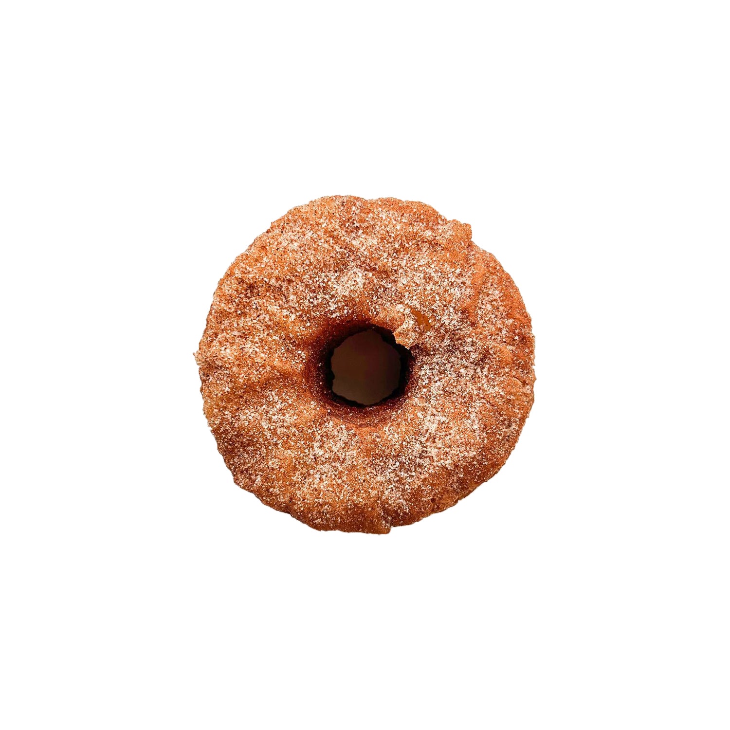 Spooky Spice – Five Daughters Bakery